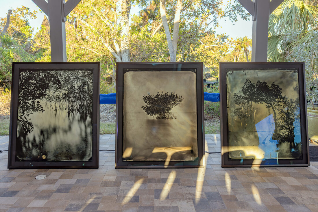 SCCF to host Brush of Excellence artists - SANIBEL-CAPTIVA - Island ...